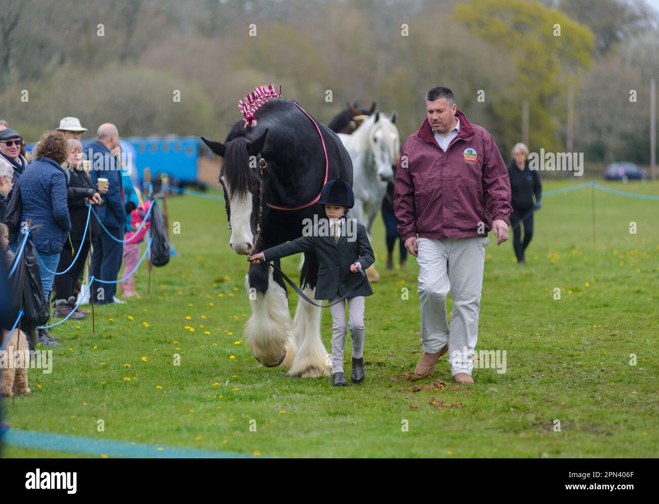 Harbridge, Ringwood, Hampshire, England, UK, 16th April 2023. Prize ...