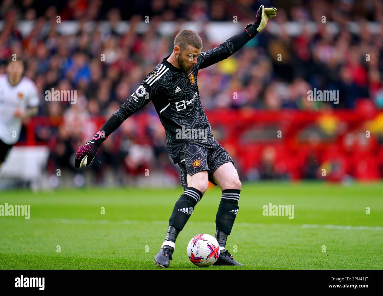 Manchester United goalkeeper David de Gea during the Premier League ...