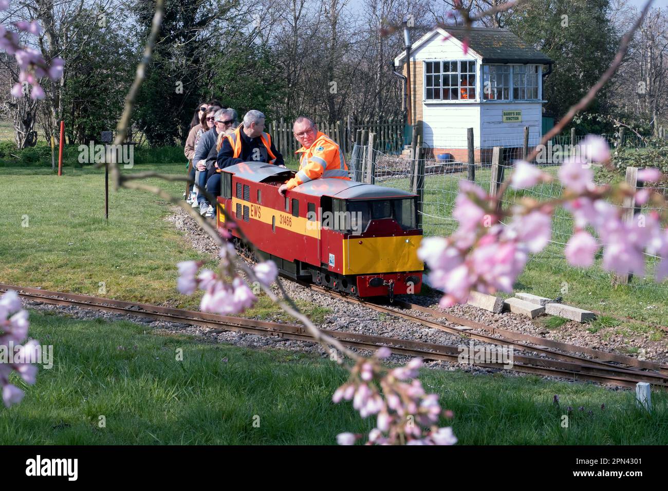 National fruit collection hi-res stock photography and images - Alamy