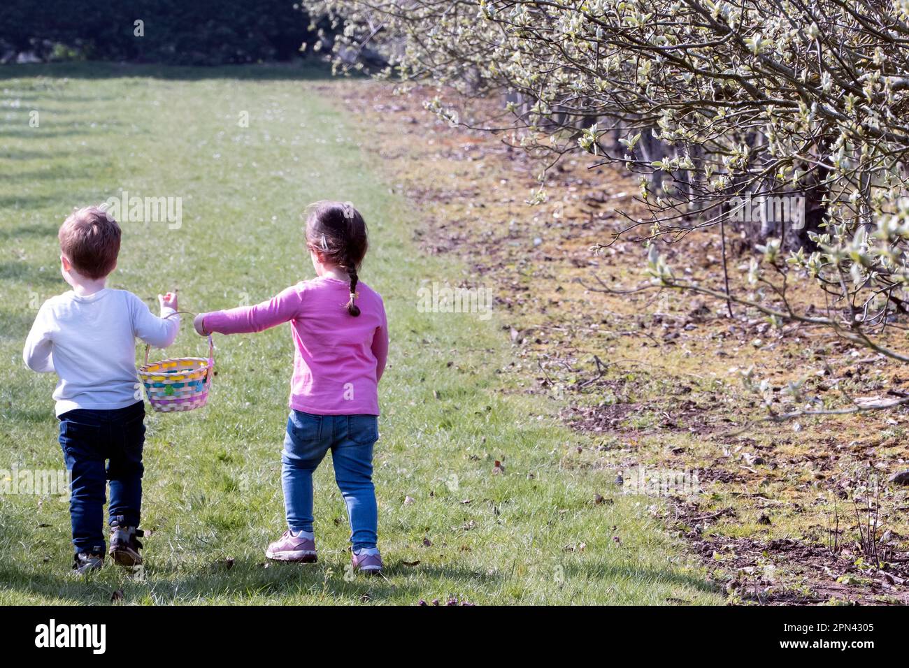 Brogdale Farm National Fruit Collection Faversham Kent UK Stock Photo ...