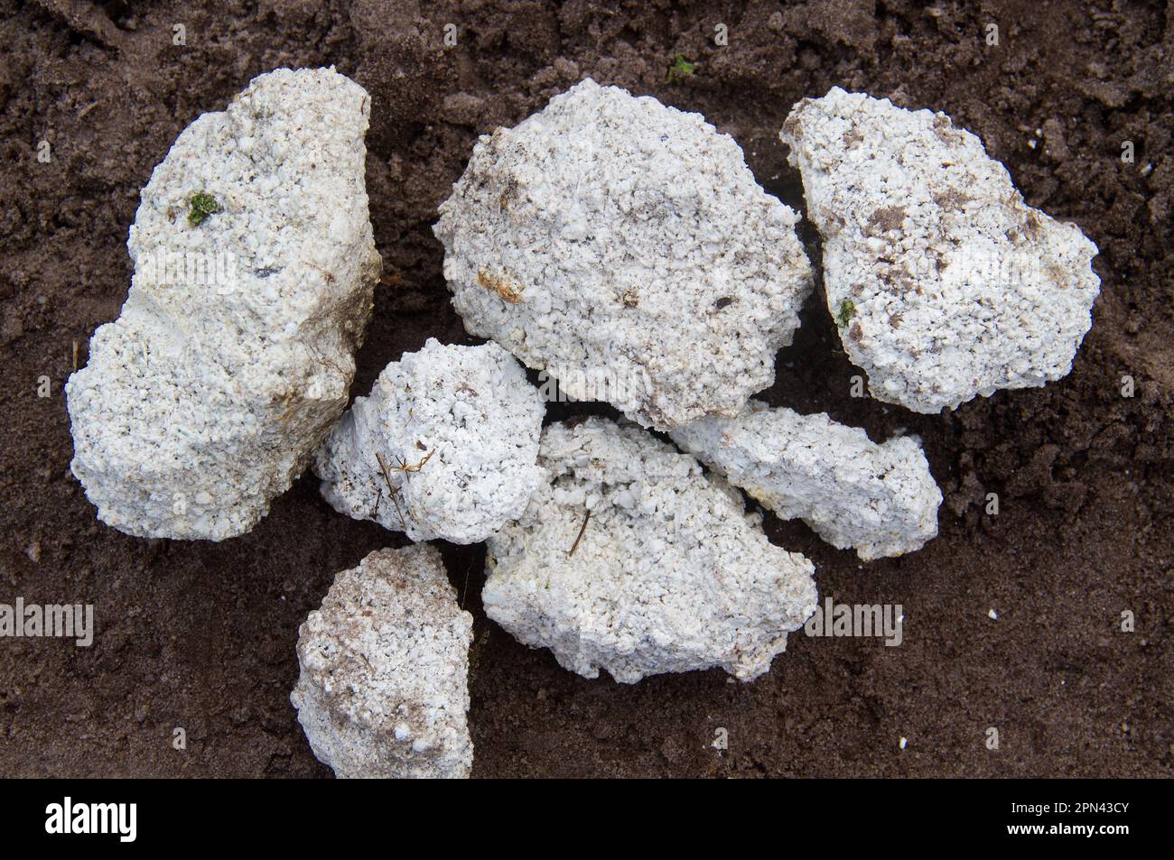 Large chunks of calcium carbonate, used as a soil improver in arable ...