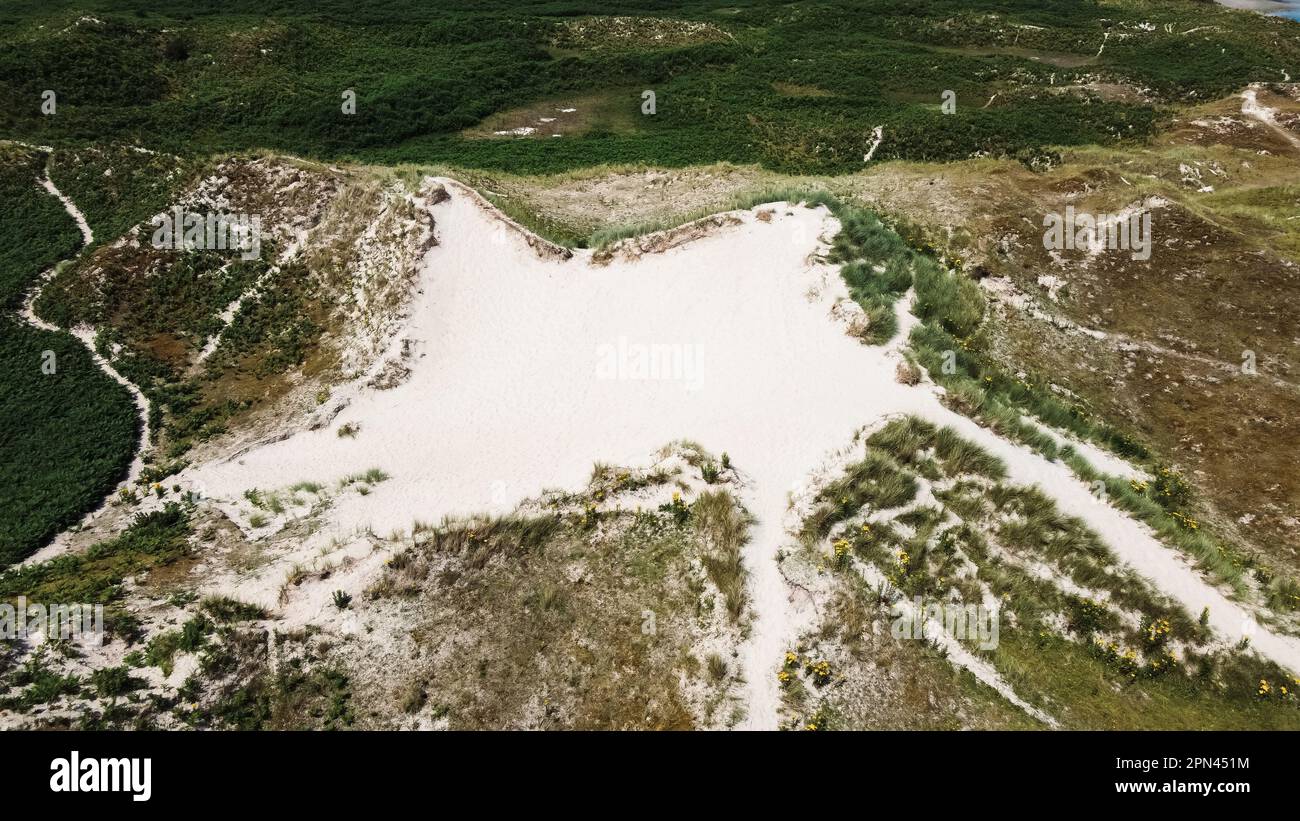 plants cover the slopes of sand dunes in summer in Ireland, top view ...
