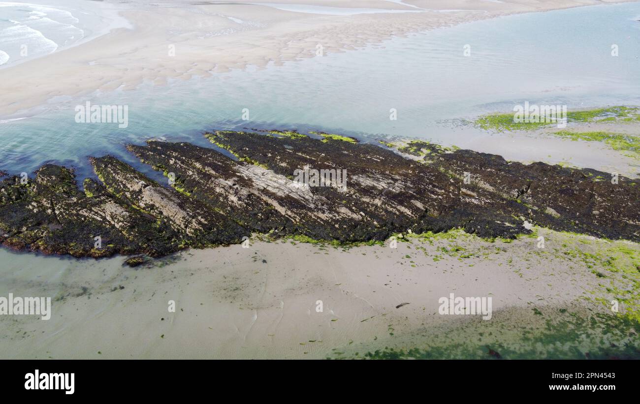 Rocky seabed at low tide, top view. A stone covered with algae Stock ...