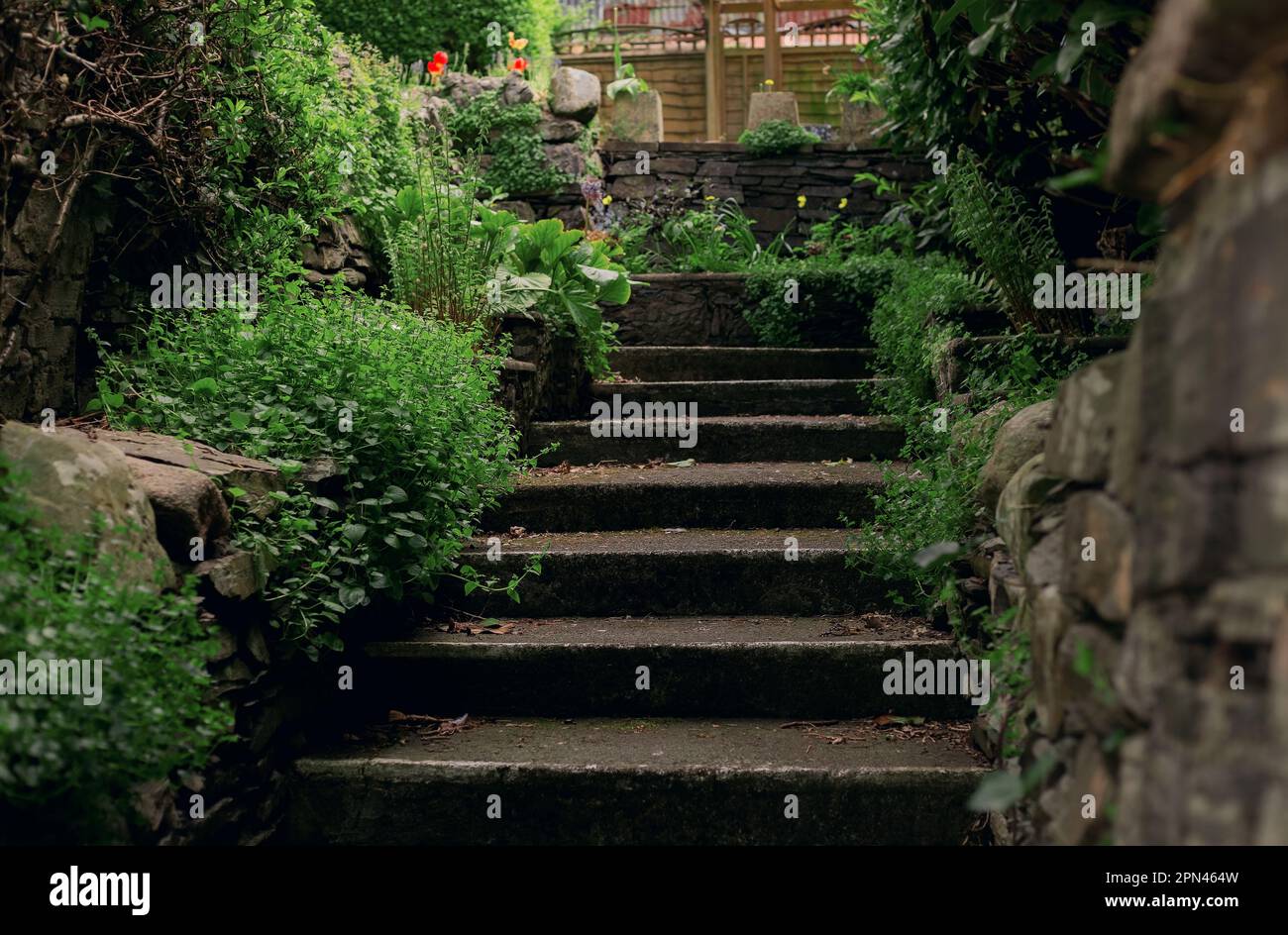 Pathway stone hi-res stock photography and images - Alamy