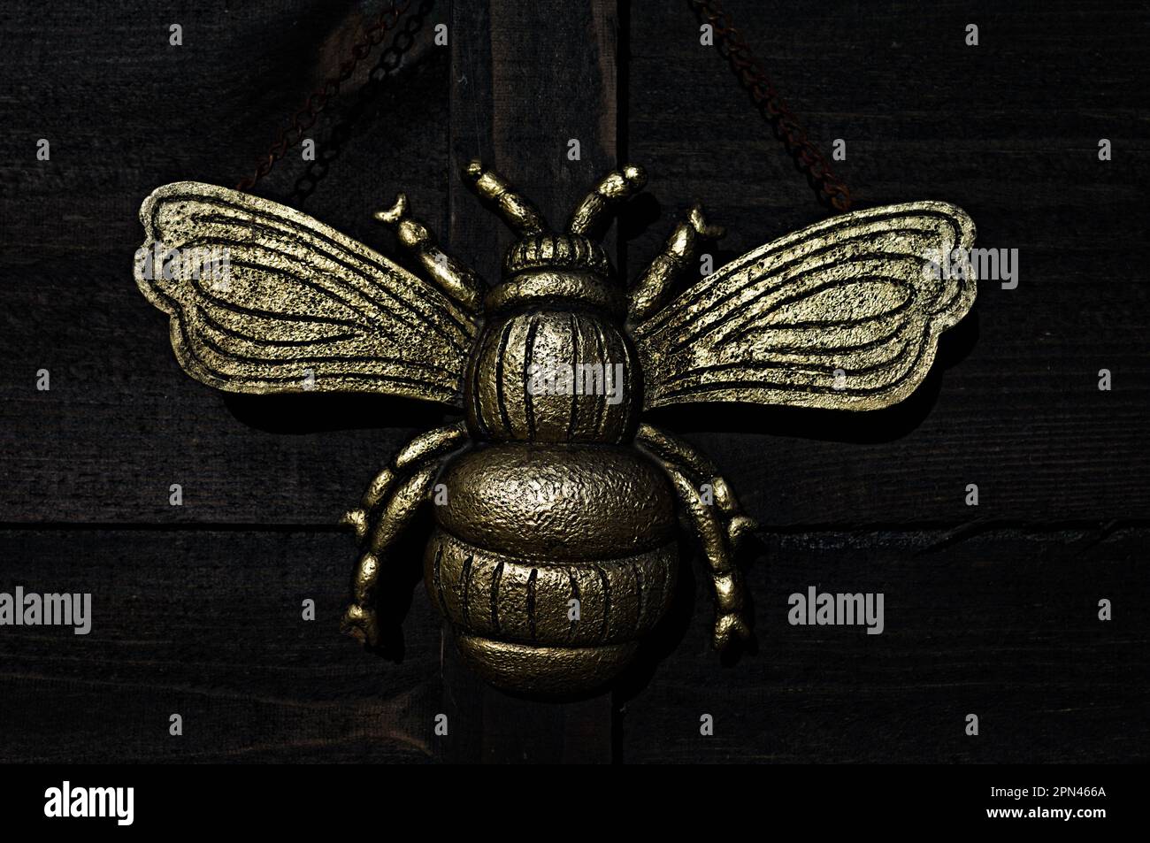 Golden bee hi-res stock photography and images - Alamy