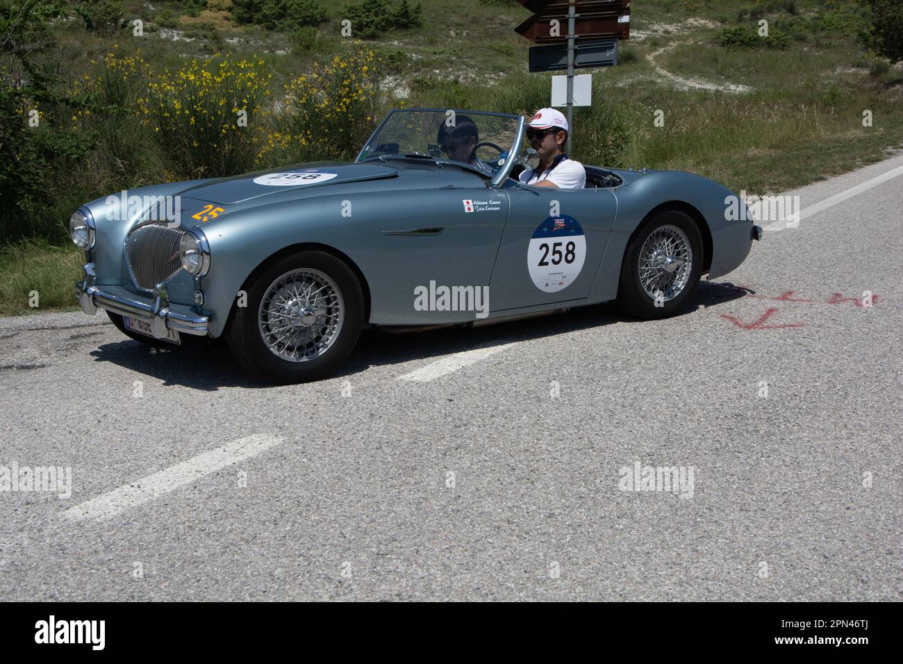 URBINO, ITALY - JUN 16 - 2022 : AUSTIN HEALEY 100 4 1953 on an old ...