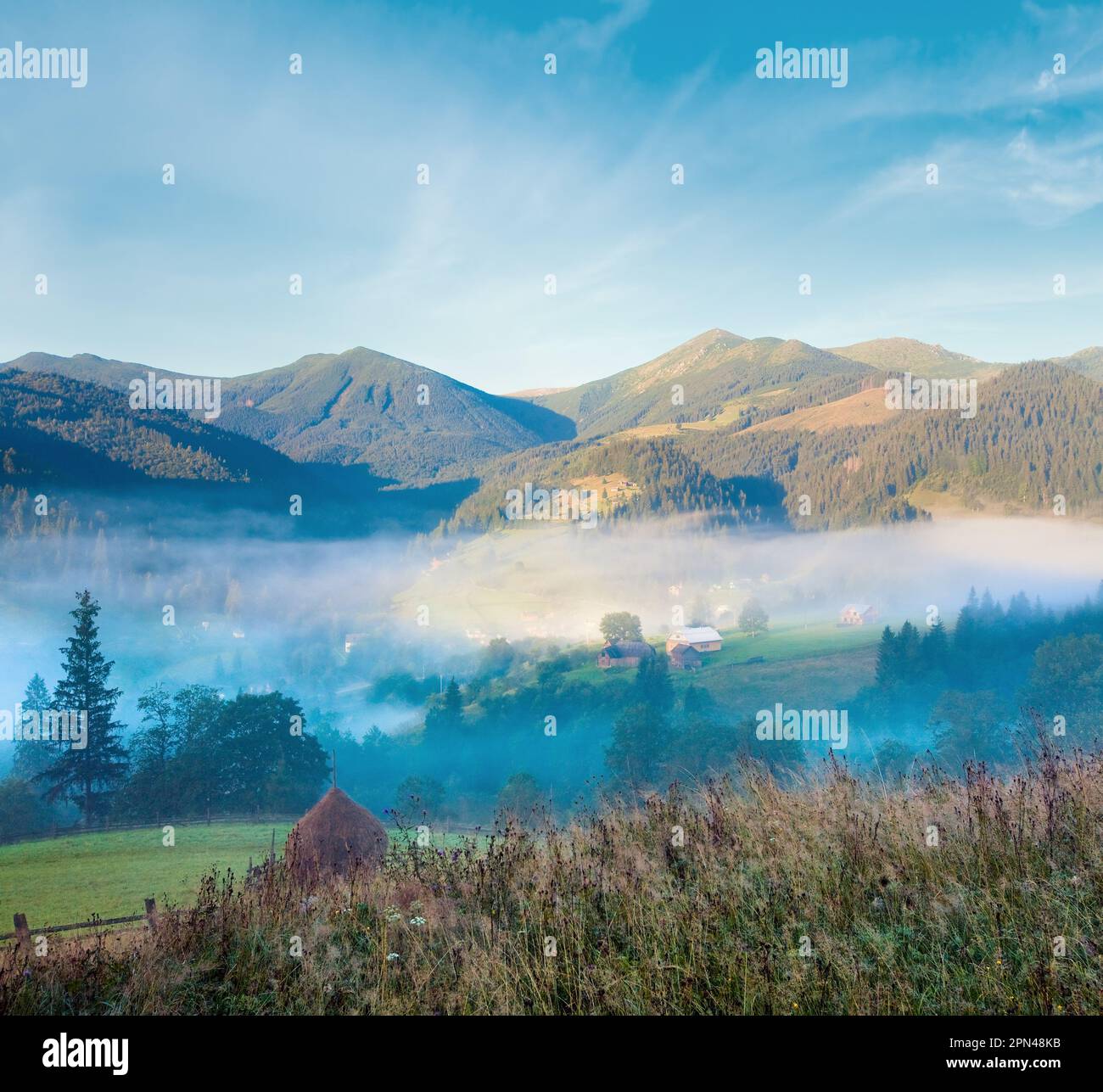 Misty daybreak in summer Carpathian mountain, Ukraine (with mist clouds ...
