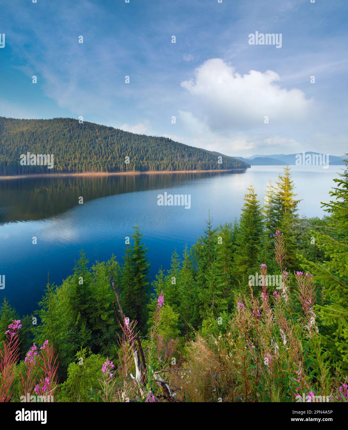 Mountain Lake Vidra summer evening view (near Romania Transalpina road ...