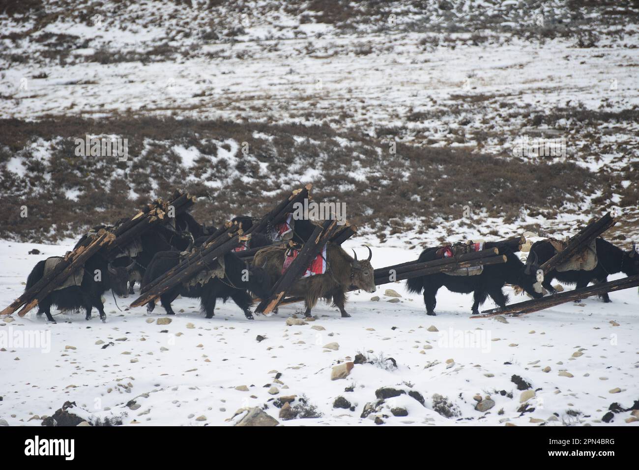 Stunning scenery of the alpine region in western Sichuan, China, with ...