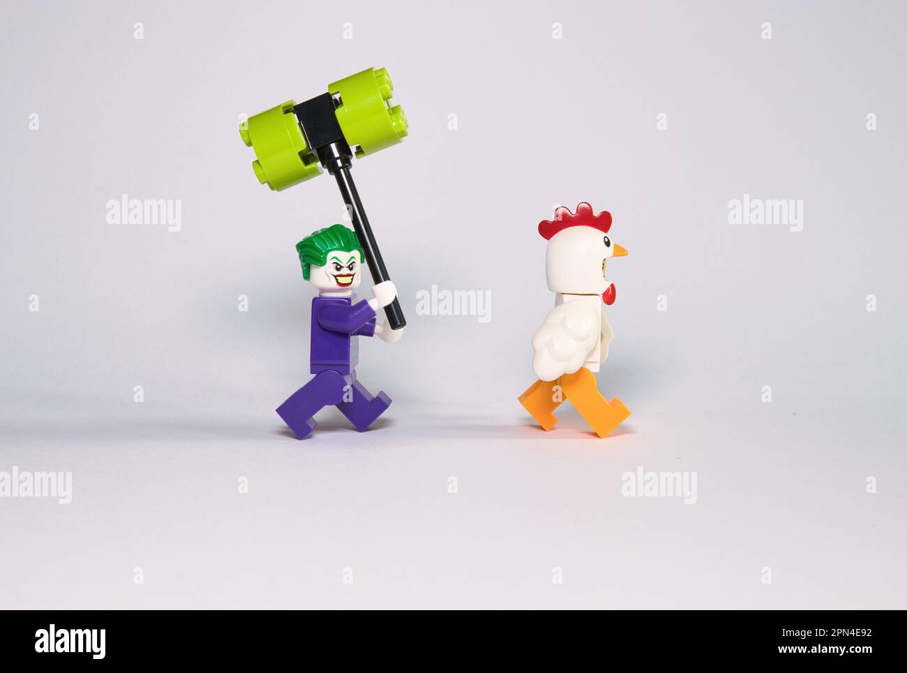 Joker's chicken hunt Stock Photo - Alamy