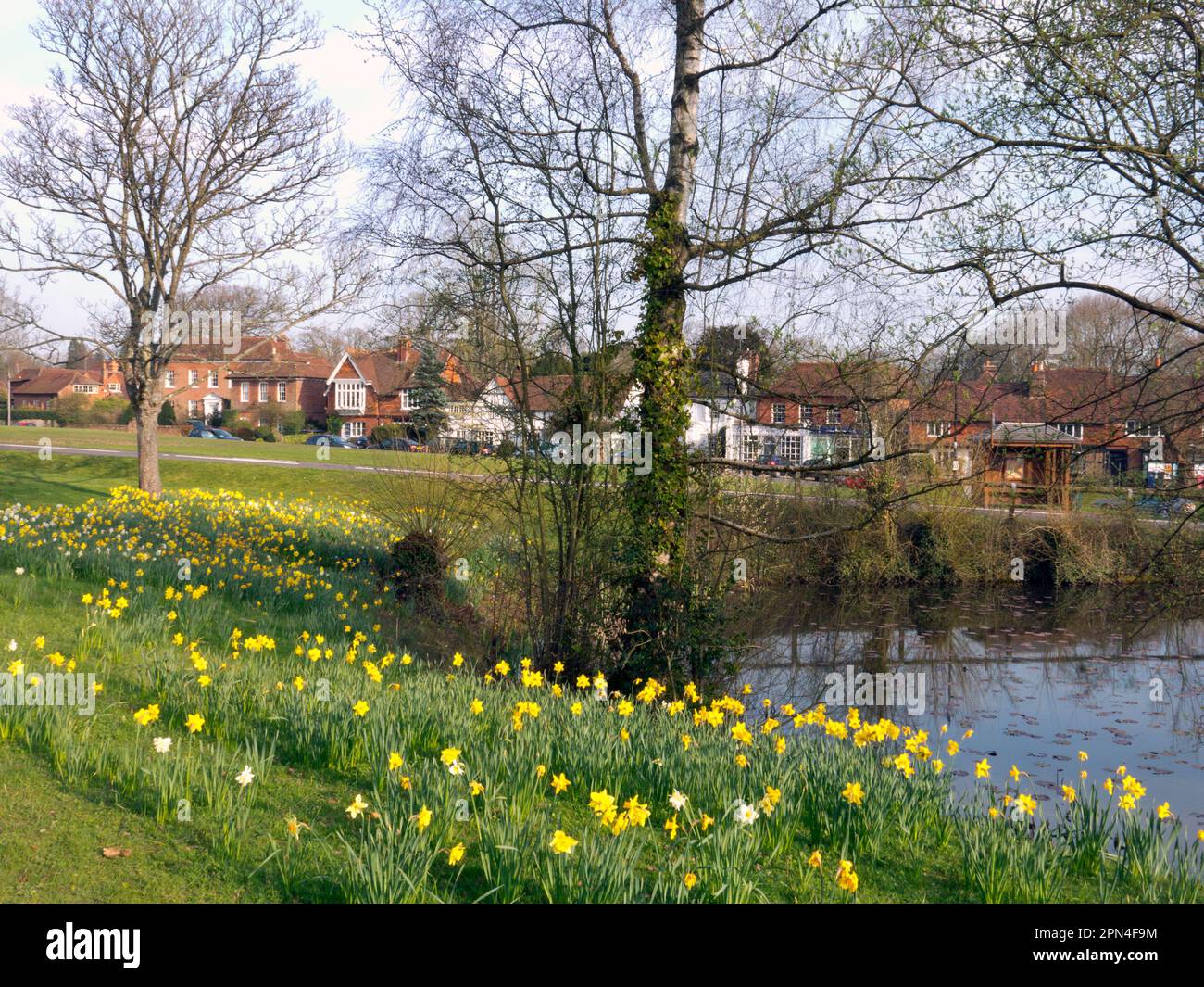 Chiddingfold village on a spring day, Godalming, Surrey, England Stock ...