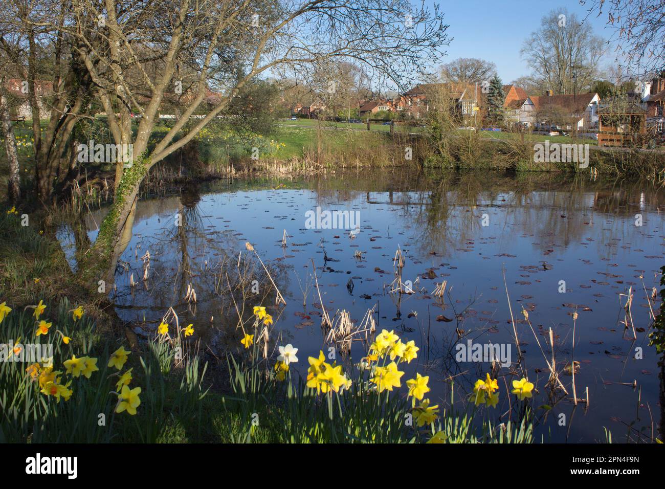Chiddingfold winter hi-res stock photography and images - Alamy