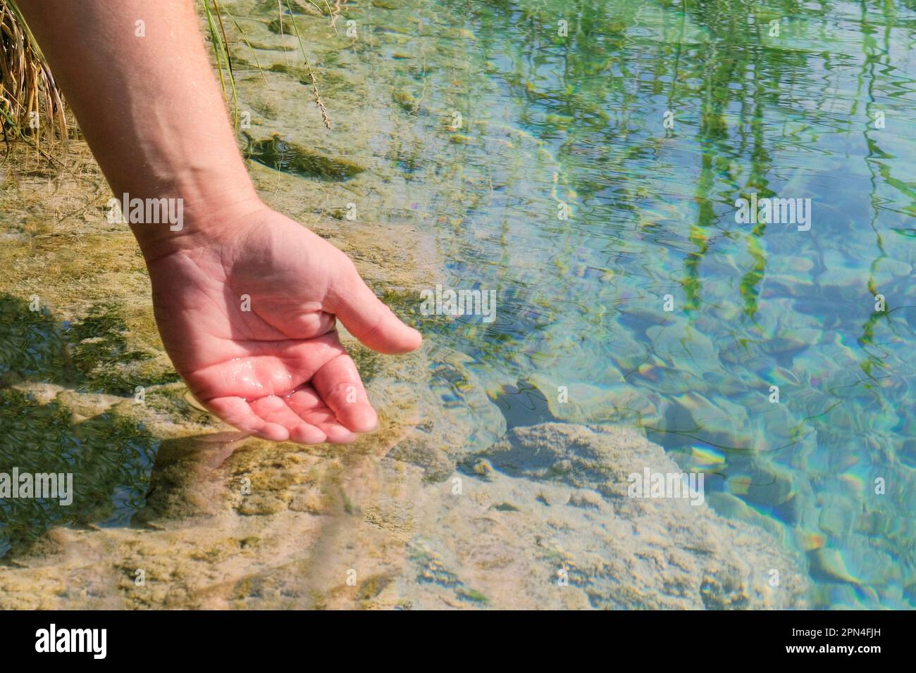 Human hand gently touches the surface of the water in the forest river ...