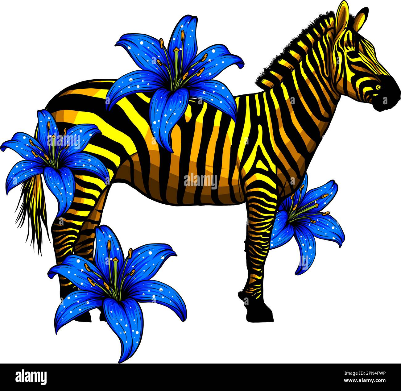 Vector colored zebra standing isolated on white background digital ...