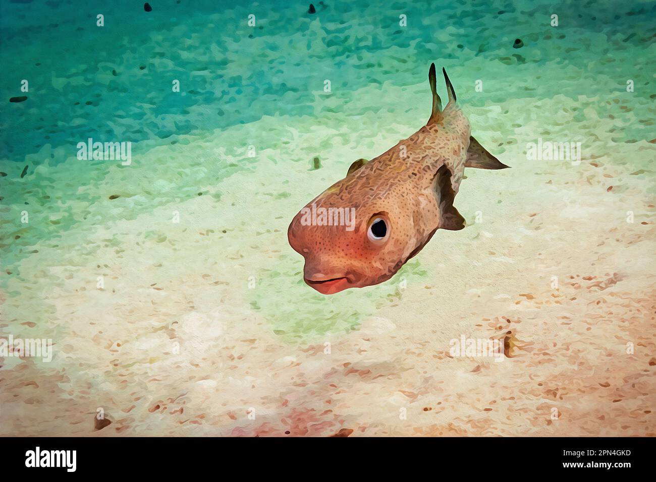 Digitally created watercolor painting of a cute Spot-fin porcupinefish ...