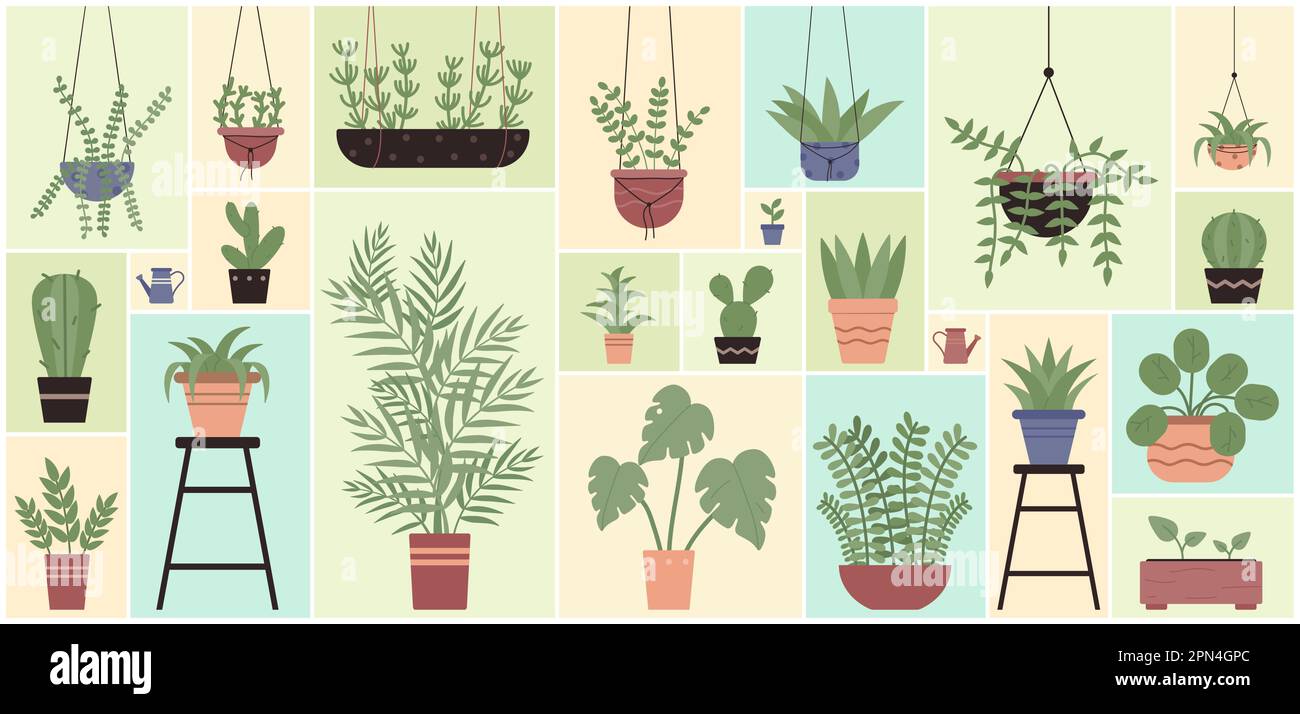 Cartoon different houseplants for home garden and interior decoration ...
