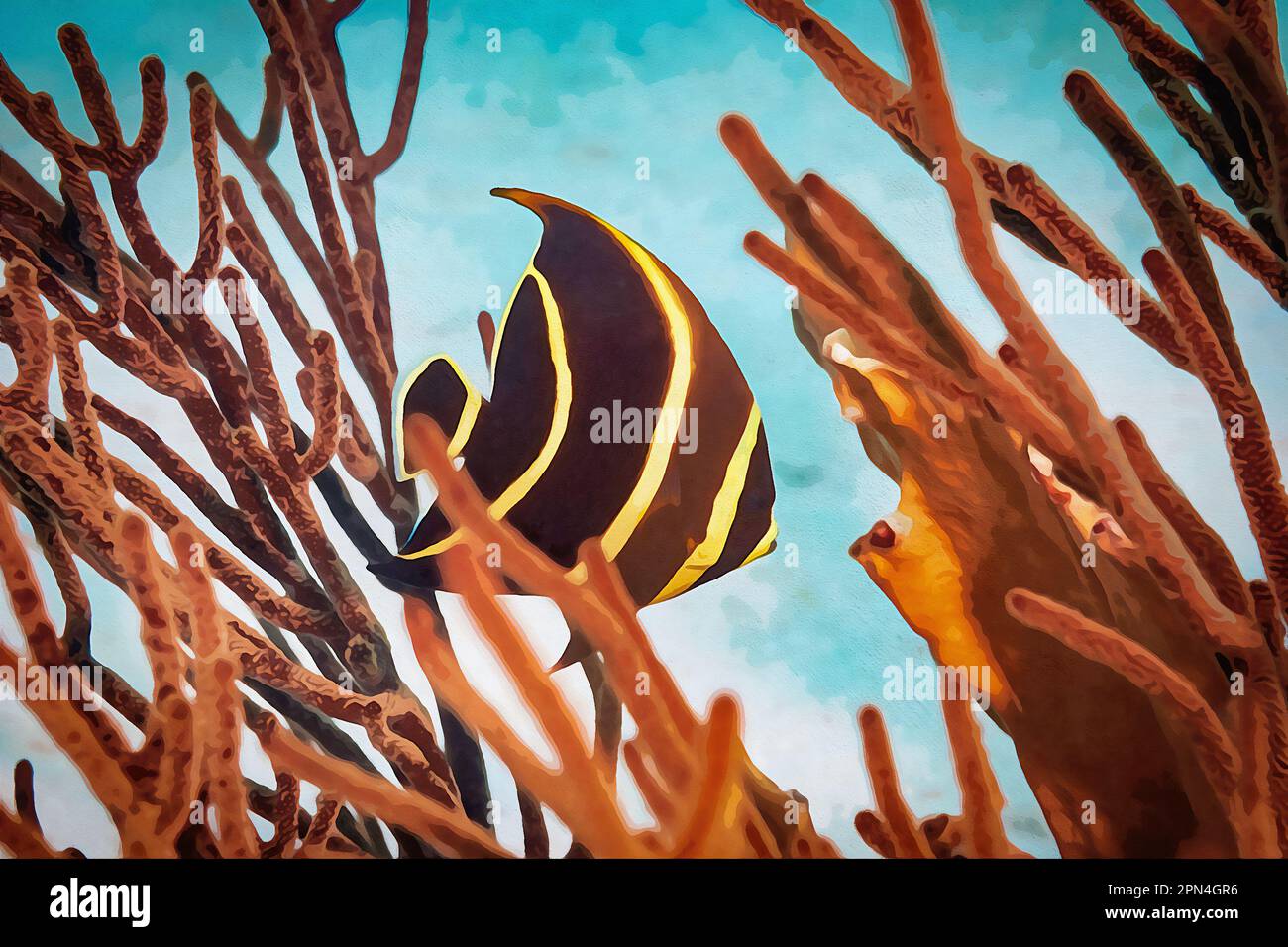 Angel fish painting hi-res stock photography and images - Alamy