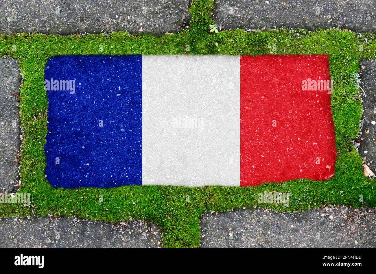 Ecological concept. On the sidewalk in green moss, paving slabs with ...