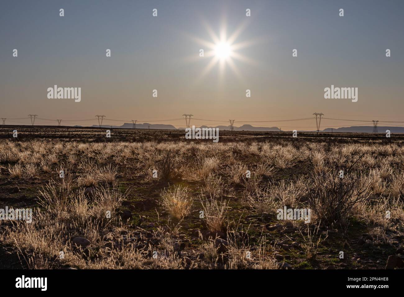 Karoo landscape in South Africa in the afternoon with the setting sun ...