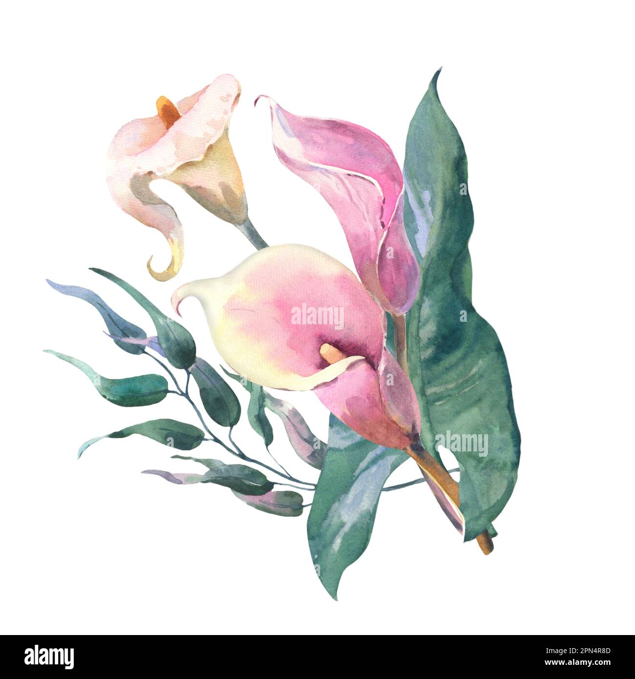 Bouquet of Callas. tropical flowers and leaves watercolor painting ...