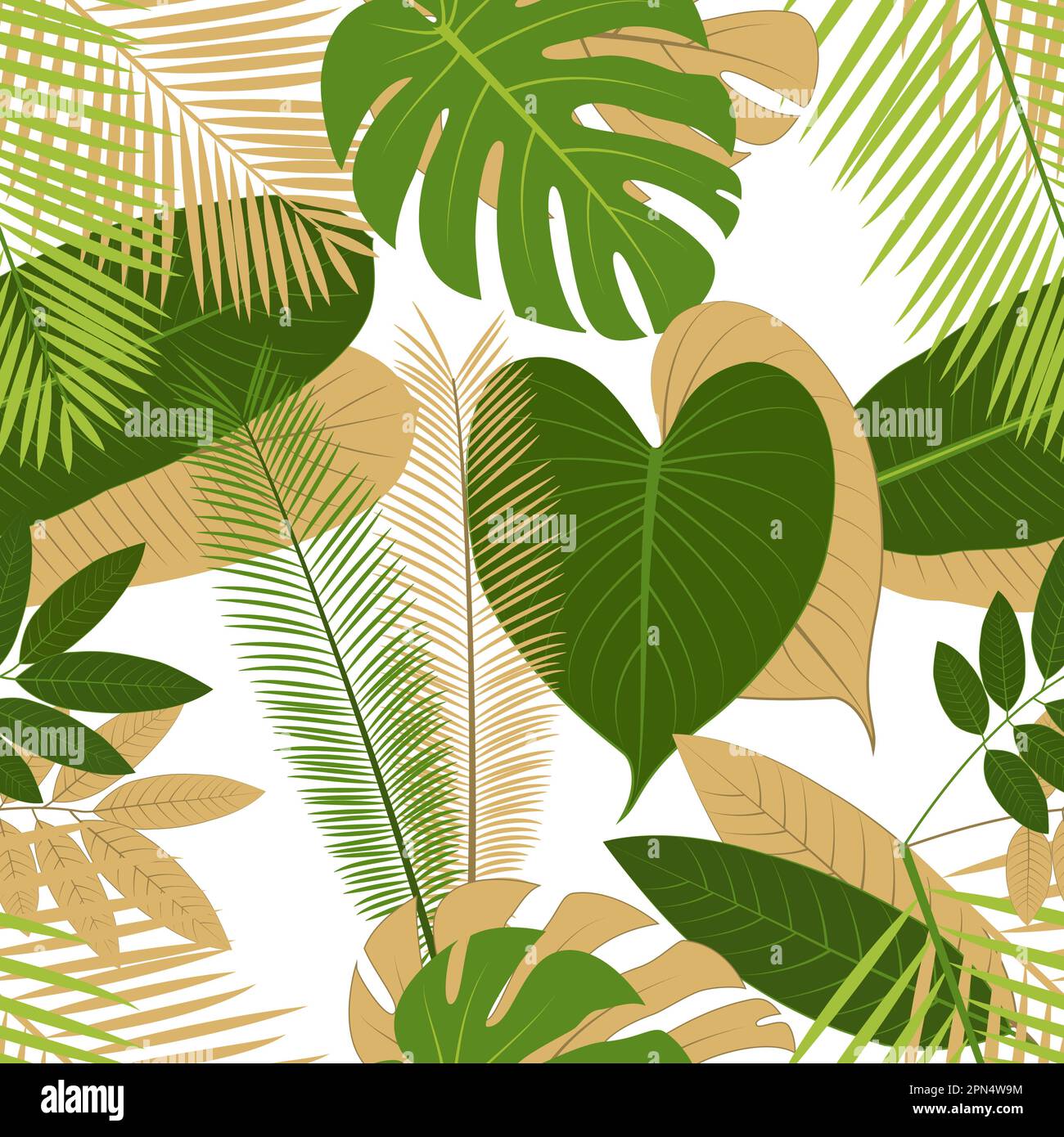 Tropical leaves pattren and palm leaves on a white background Stock ...