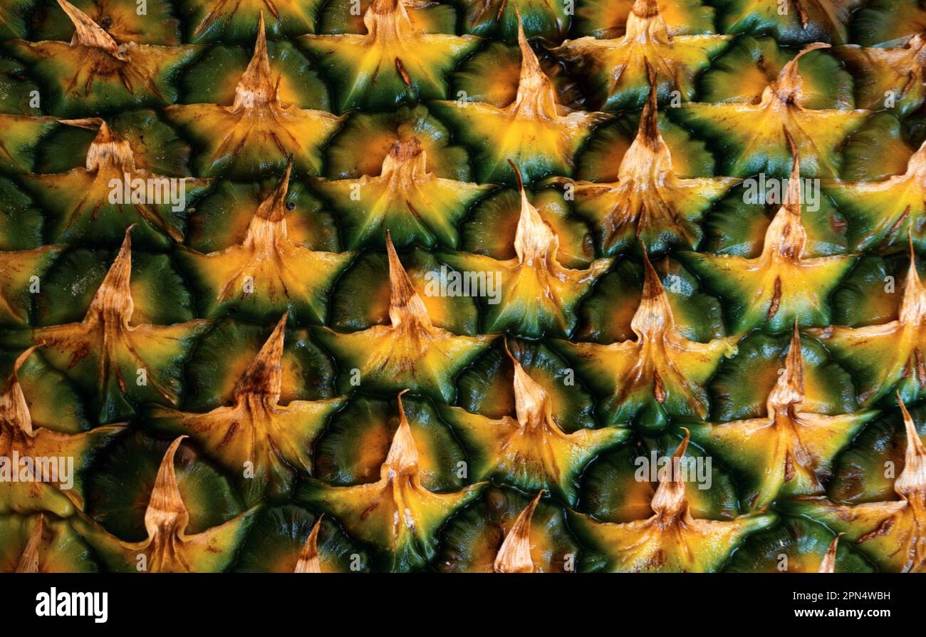 Pineapple background. Pineapple pattern design for minimal style Stock ...