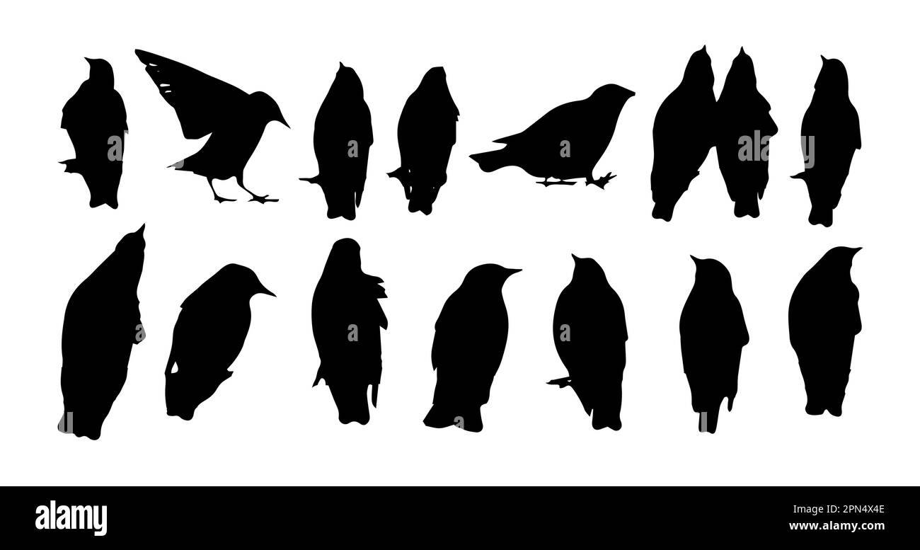 Birds on a wire. Silhouettes of sitting starlings. Birds set . Vector ...