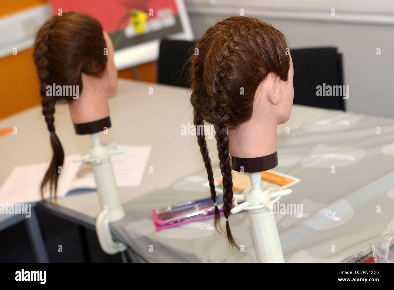 Models with hair for hairdressing practice, learning and teaching ...