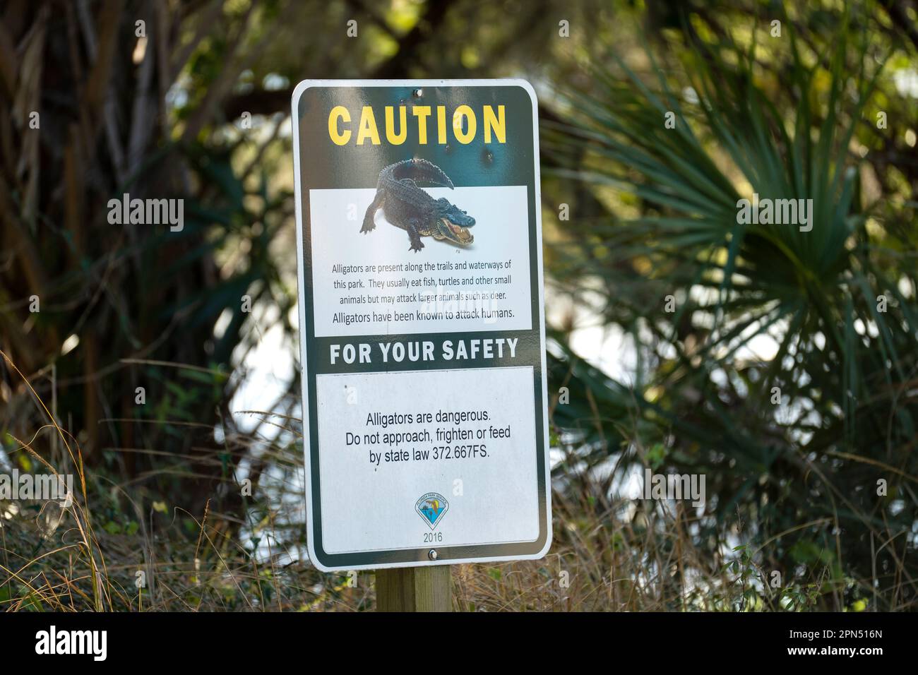 Alligators warning sign in Florida state park about caution and safety ...