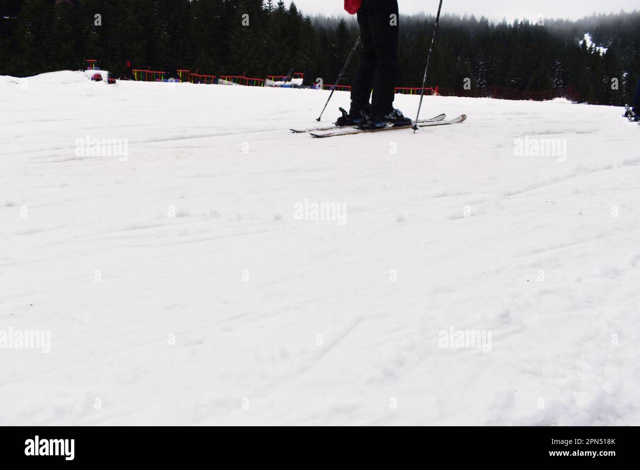 Human legs with skis on mountain in the winter Stock Photo - Alamy