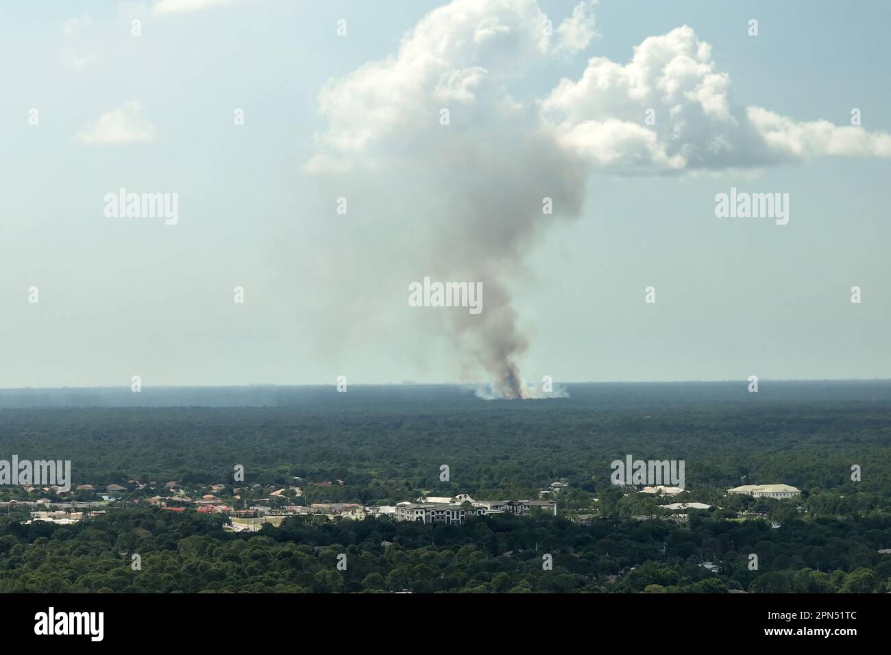 Dangerous wildfire burning severely in Florida jungle woods. Hot flames ...