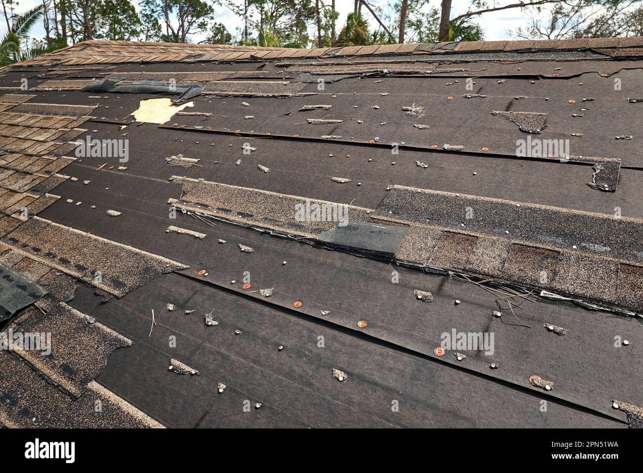 Damaged house roof with missing shingles after hurricane Ian in Florida ...