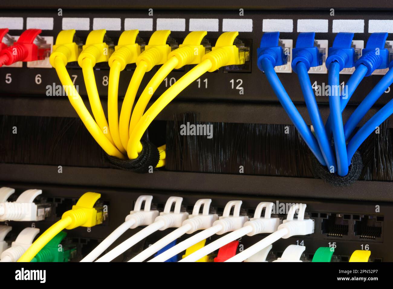 Multi Colored Network Cables Connected to Switch, network technology ...