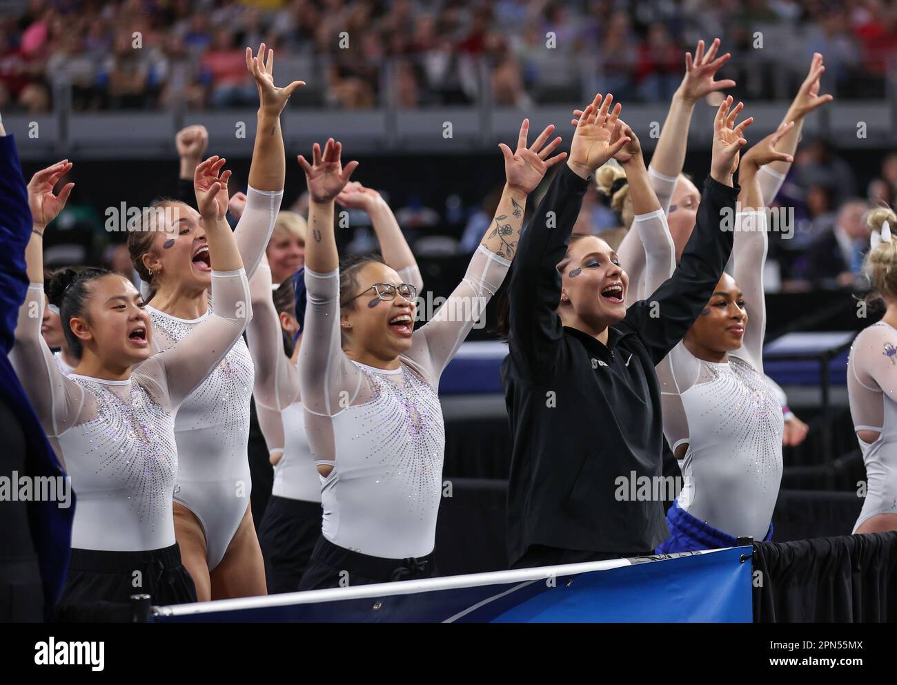 Fort Worth, TX, USA. 15th Apr, 2023. The Florida gymnastics team cheers ...