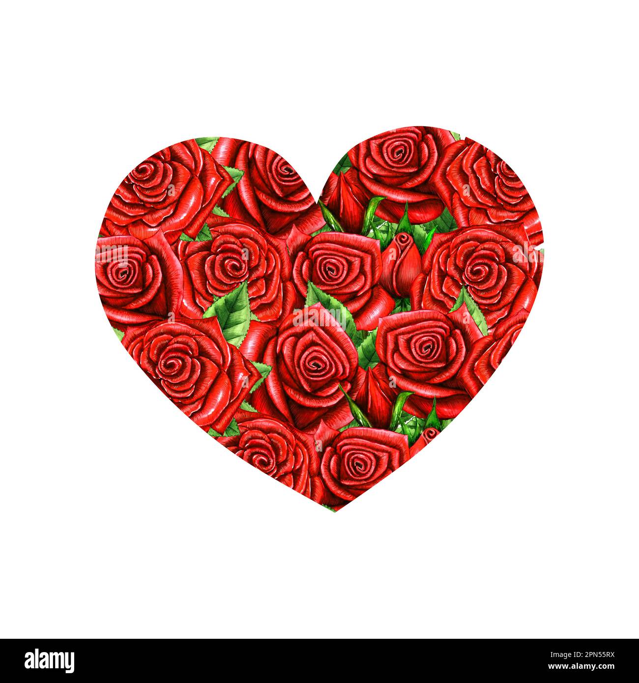 Floral heart decorated with gorgeous roses. Botanical illustration on ...