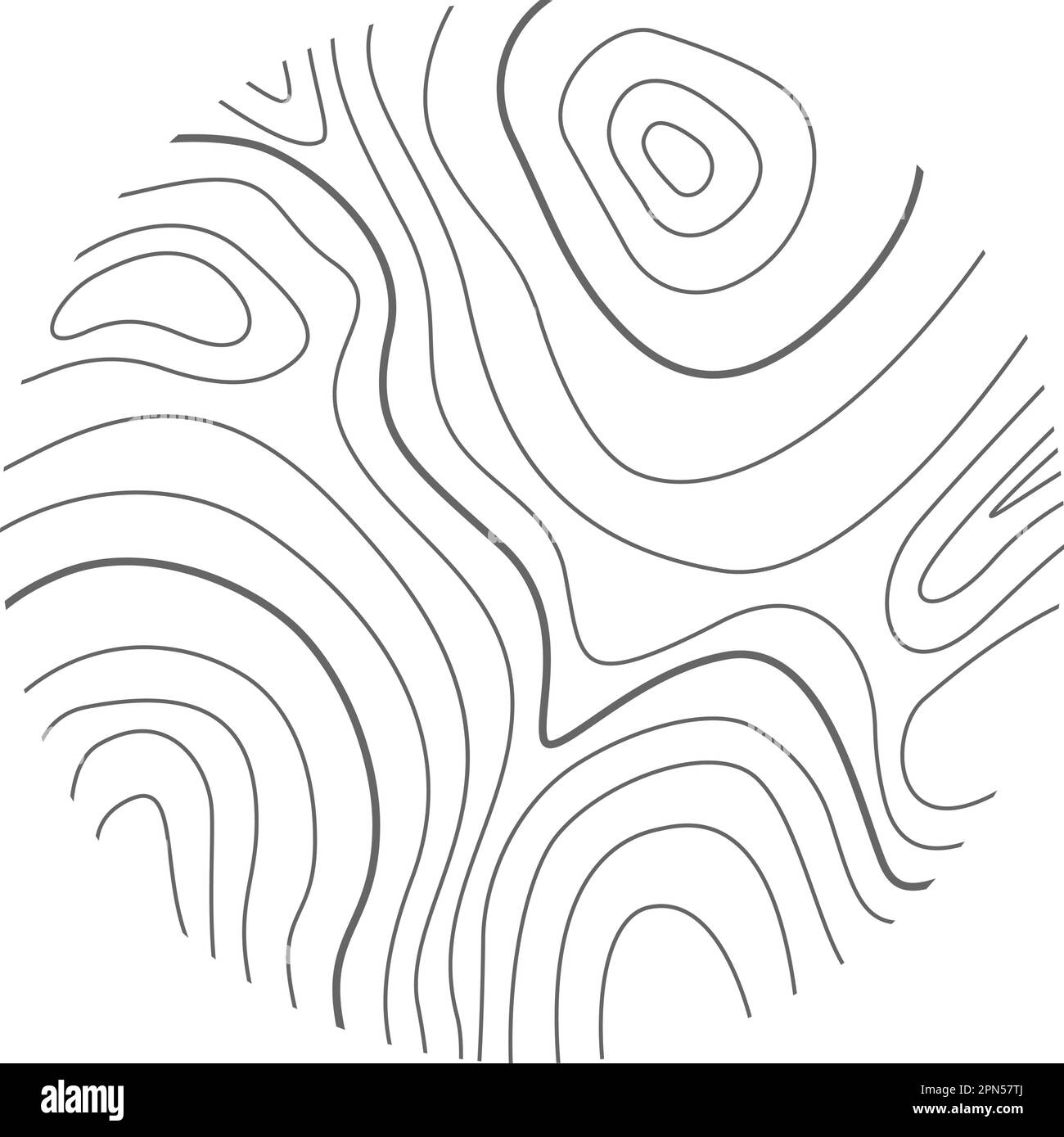 Topographic texture in round shape. Wooden layout in doodle style. Hand ...