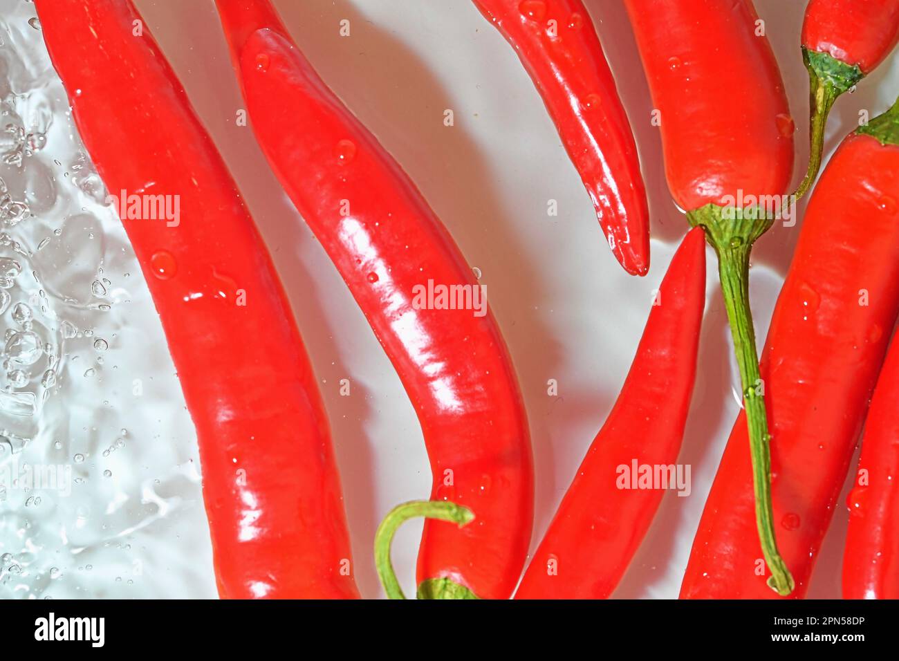 Red chilli peppers on white background. Hot chilli peppers close-up in ...