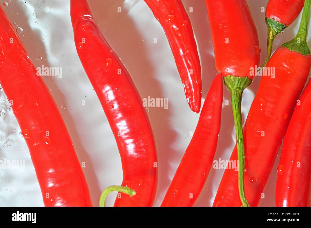 Close-up view of the red chilli peppers in water background. Texture of ...