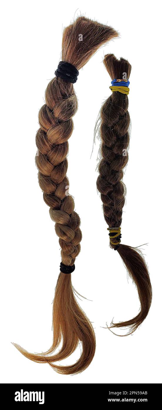 Two braids of hair that have been cut off Stock Photo - Alamy