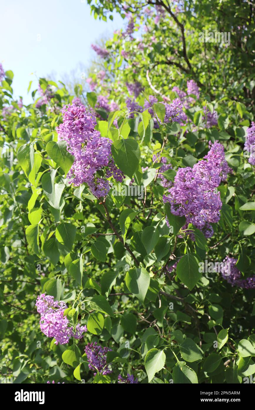 Spring color palette hi-res stock photography and images - Alamy