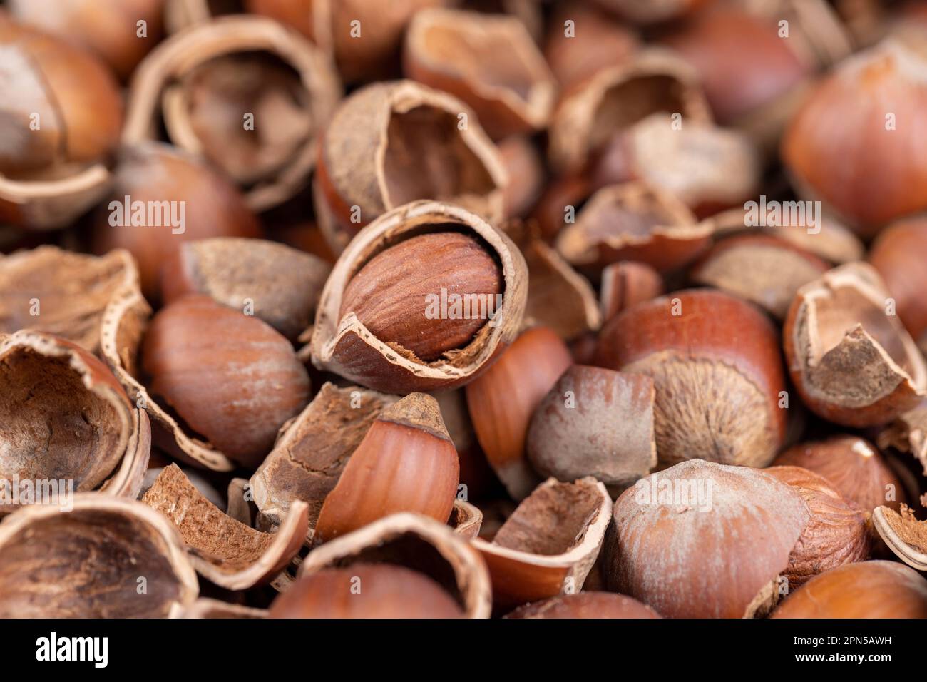 Peeling shells hi-res stock photography and images - Alamy