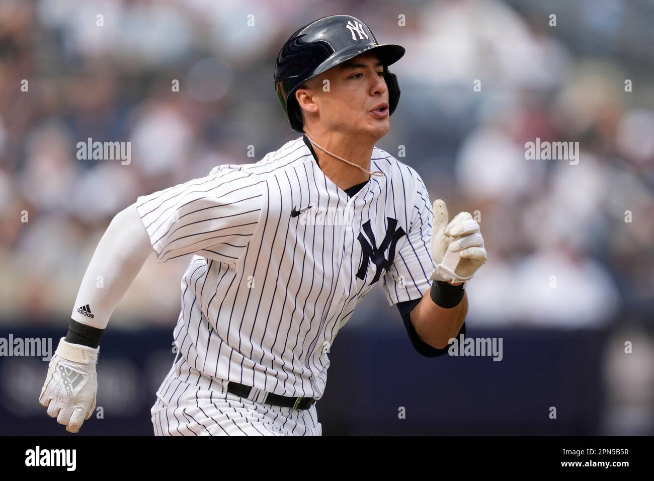 New York Yankees' Anthony Volpe runs to first on a single hit off ...