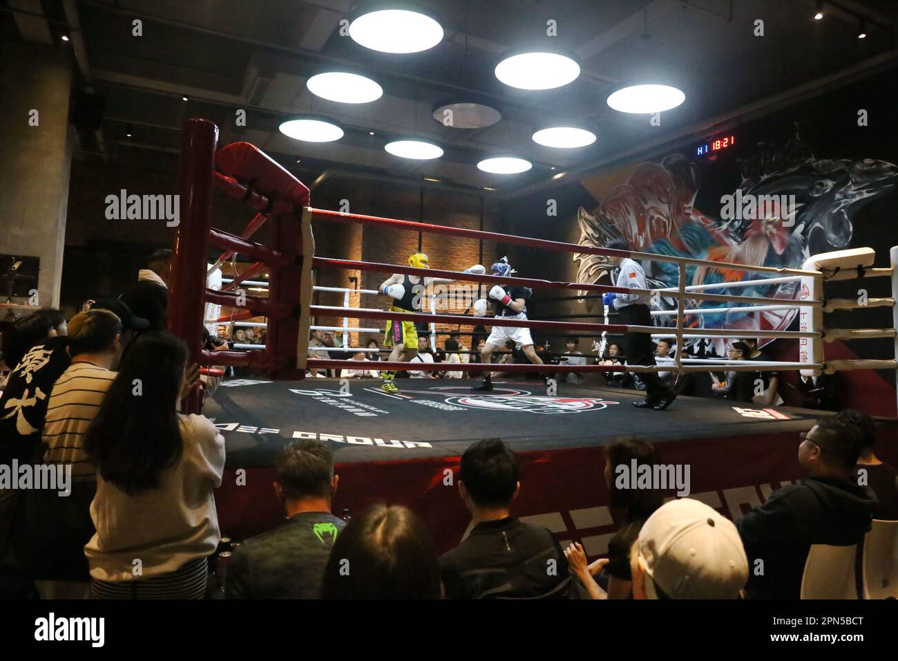 Allstar boxing hi-res stock photography and images - Alamy