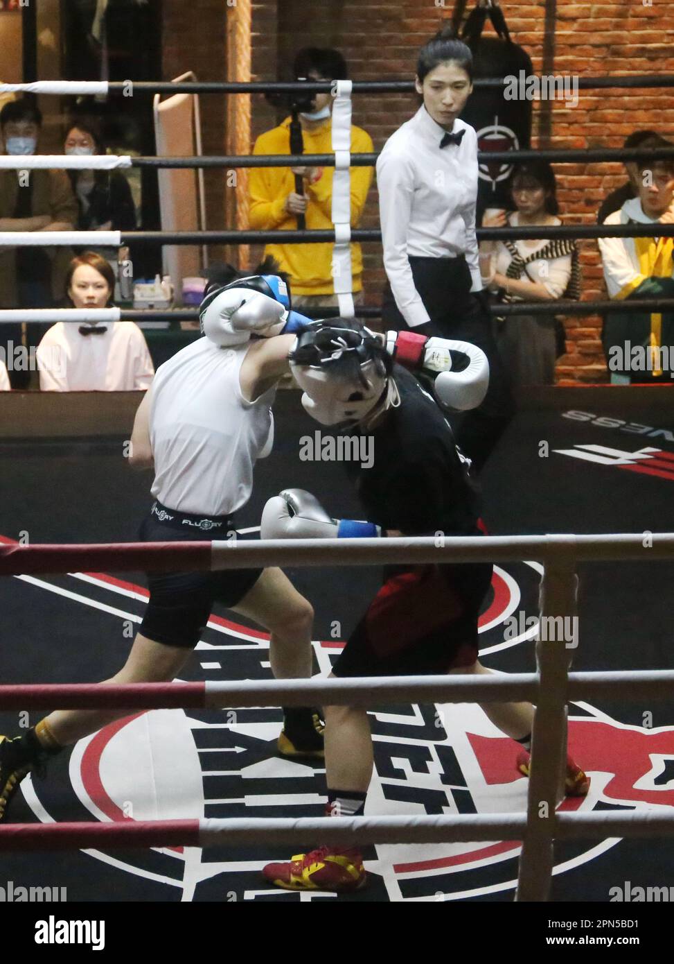 Allstar boxing hi-res stock photography and images - Alamy