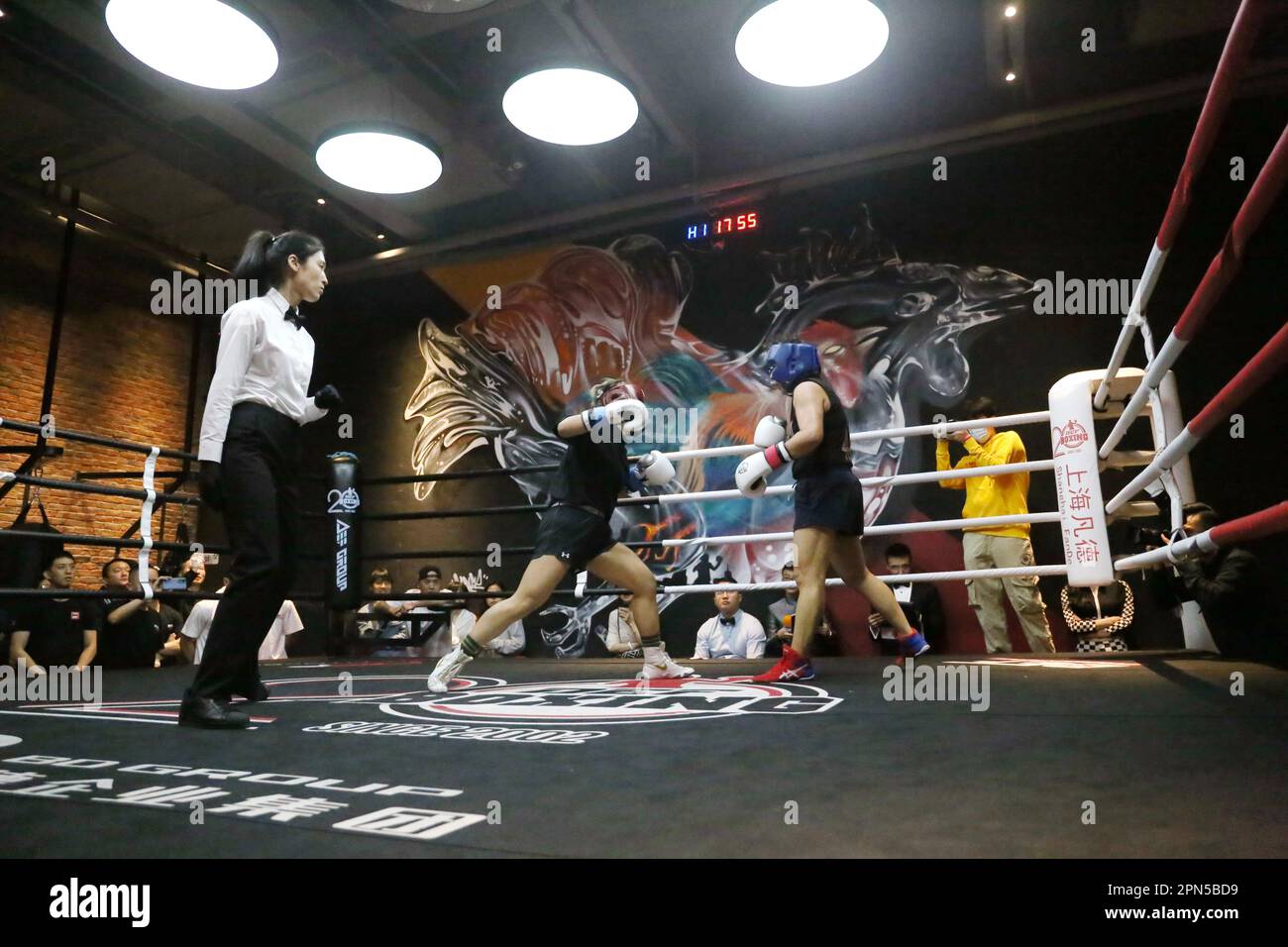 Allstar boxing hi-res stock photography and images - Alamy