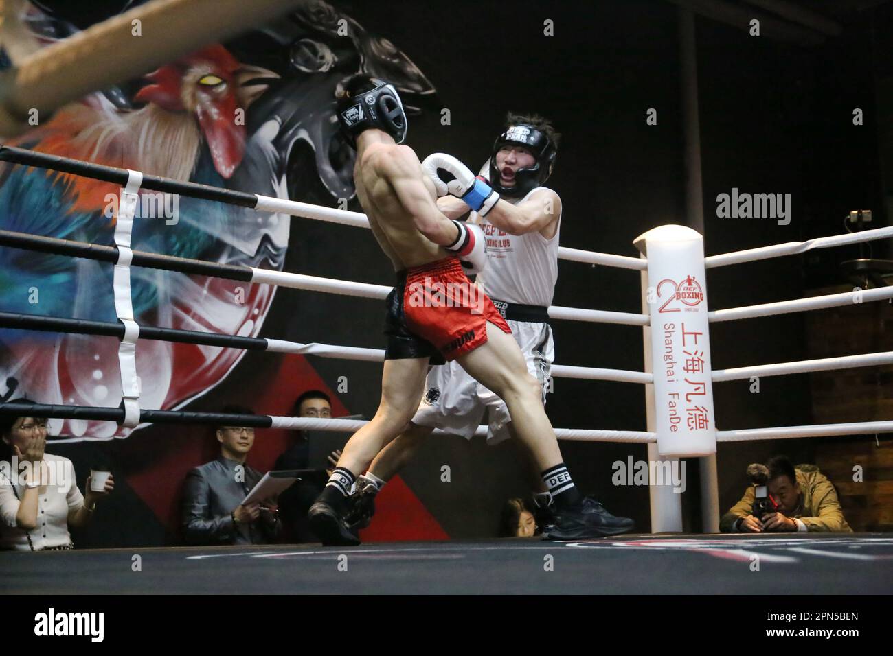 Allstar boxing hi-res stock photography and images - Alamy