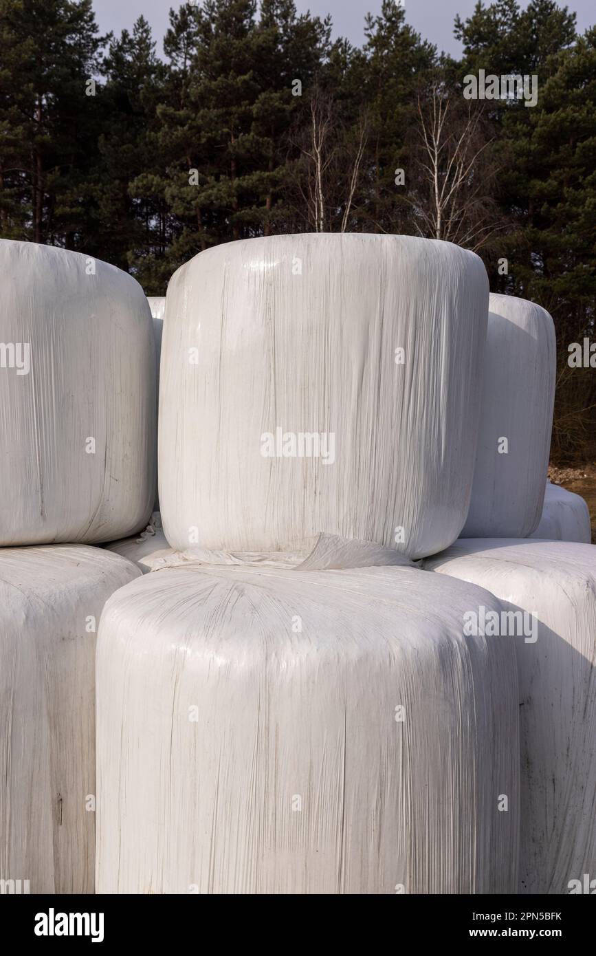 white plastic packaging for hay during storage in winter, old dirty ...