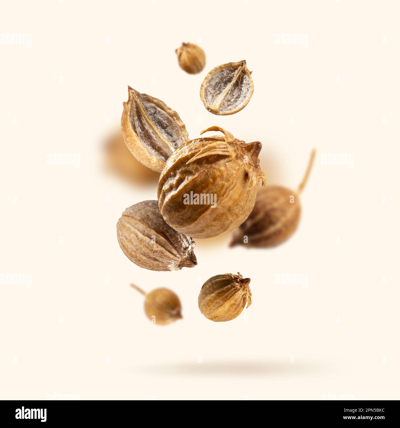 Falling Organic dried coriander seeds float on a beige background ...
