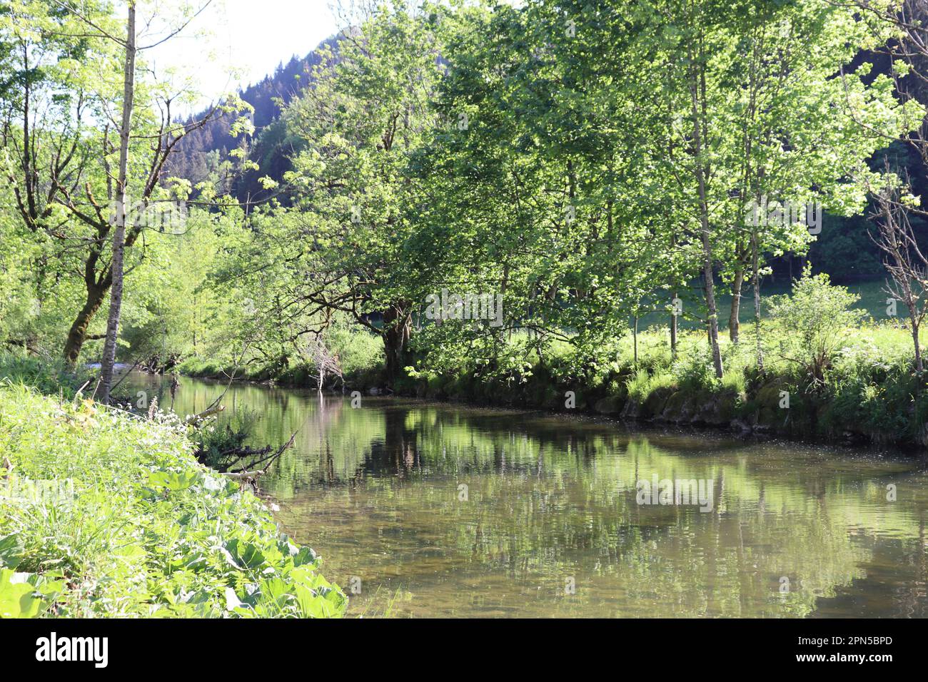Beauty of nature in germany hi-res stock photography and images - Alamy