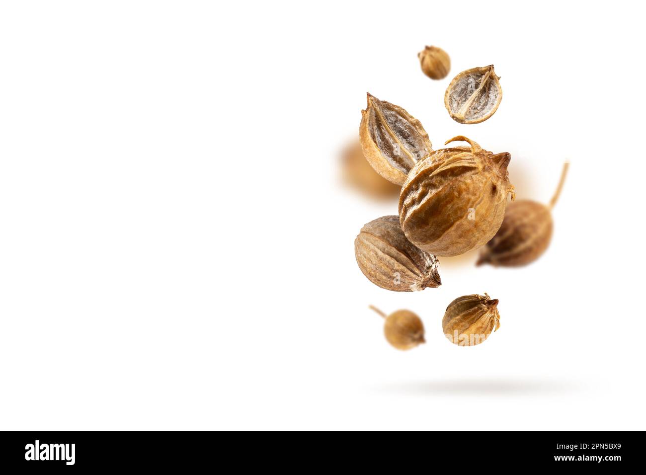 Floating seeds Cut Out Stock Images & Pictures - Alamy